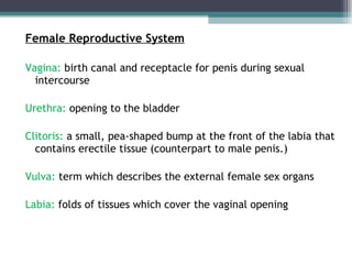 Sci 9 Lesson 3 April 4 - Introduction to Meiosis and Reproductive ...