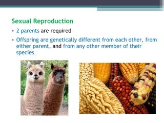 Sci 9 Lesson 3 April 4 - Introduction to Meiosis and Reproductive ...