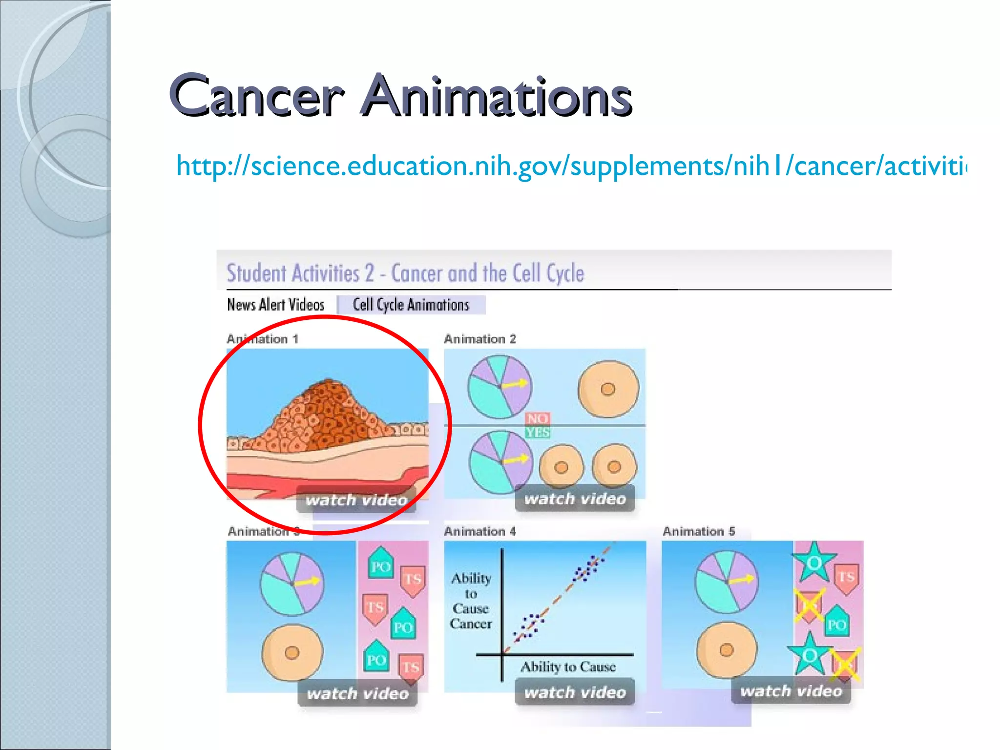 Sci 9 Lesson 3 Feb 25 - Ch 5.1 Cytokinesis, Checkpoints in the Cell ...