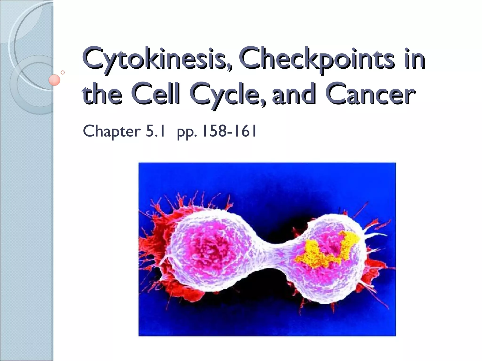Sci 9 Lesson 3 Feb 25 - Ch 5.1 Cytokinesis, Checkpoints in the Cell ...