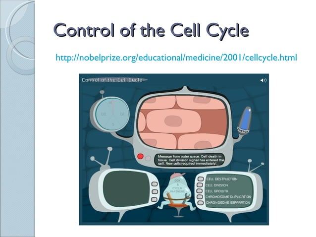 Sci 9 Lesson 3 Feb 25 - Ch 5.1 Cytokinesis, Checkpoints in the Cell ...