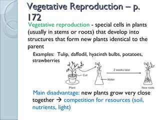 Sci 9 Lesson 4 Mar 2 - Ch 5.2 Asexual Reproduction | PPT