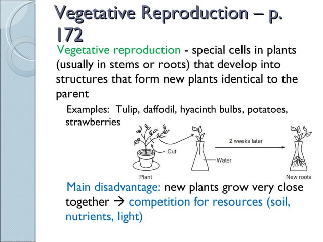 Sci 9 Lesson 4 Mar 2 - Ch 5.2 Asexual Reproduction | PPT