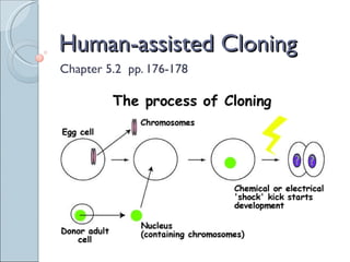 Sci 9 Lesson 4 Mar 4 - Ch 5.2 Cloning | PPT