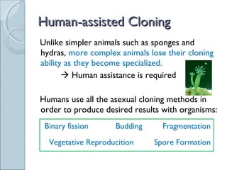 Sci 9 Lesson 4 Mar 4 - Ch 5.2 Cloning | PPT