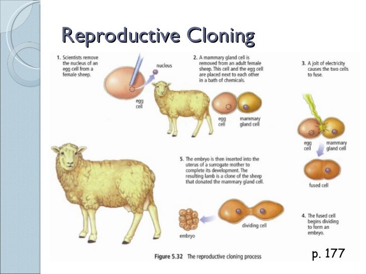 Sci 9 Lesson 4 Mar 7 - Ch 5.2 Cloning (2-4)