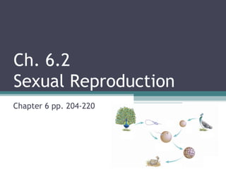 Sci 9 Lesson 6 April 12 - Sexual Reproduction | PPT