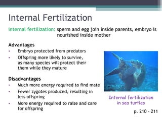 Sci 9 Lesson 6 April 12 - Sexual Reproduction | PPT
