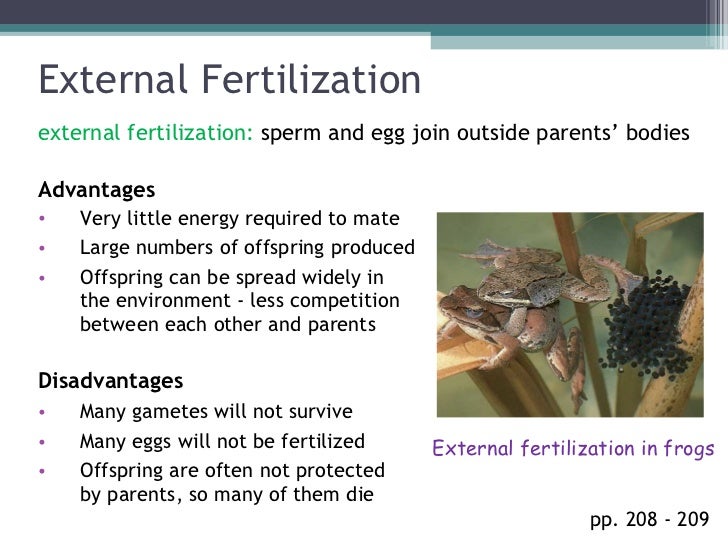 Sci 9 Lesson 6 April 12 - Sexual Reproduction