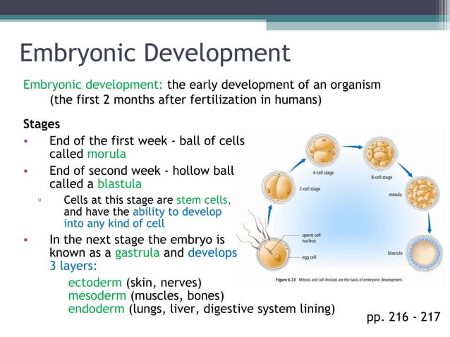 Sci 9 Lesson 6 April 12 - Sexual Reproduction | PPT | Pregnancy ...