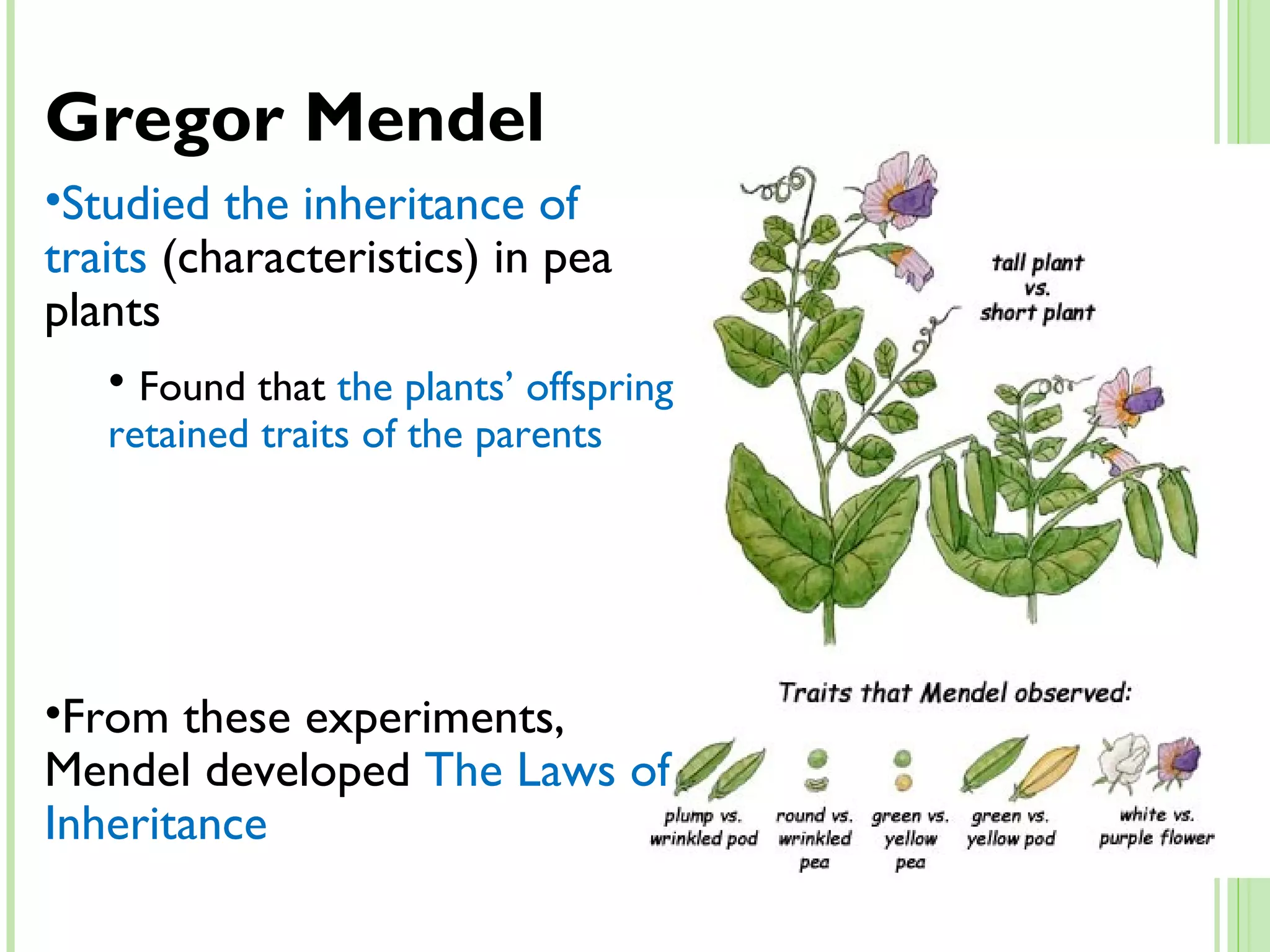 SCI 9 Lesson 1 Mar 15 - Introduction to Genetics | PPT