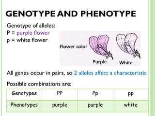 SCI 9 Lesson 1 Mar 15 - Introduction to Genetics | PPT