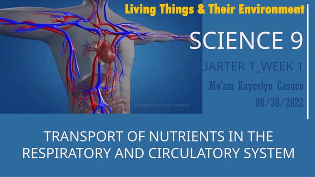 Sci9_Q1_Week 1AND2_Respiratory System.pptx