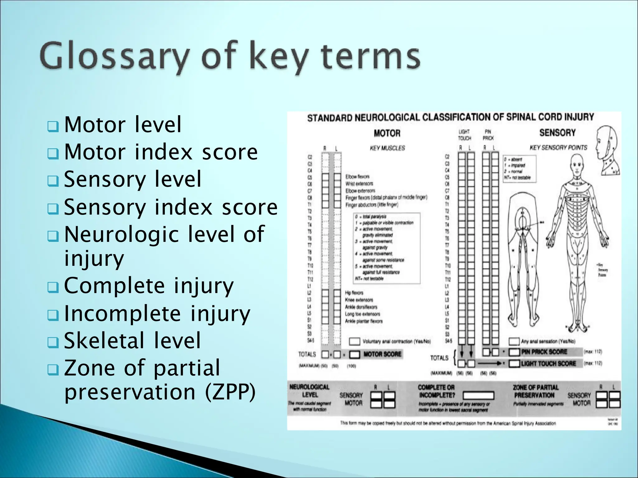 SCI (Spinal Cord Injury) (alternate).pdf