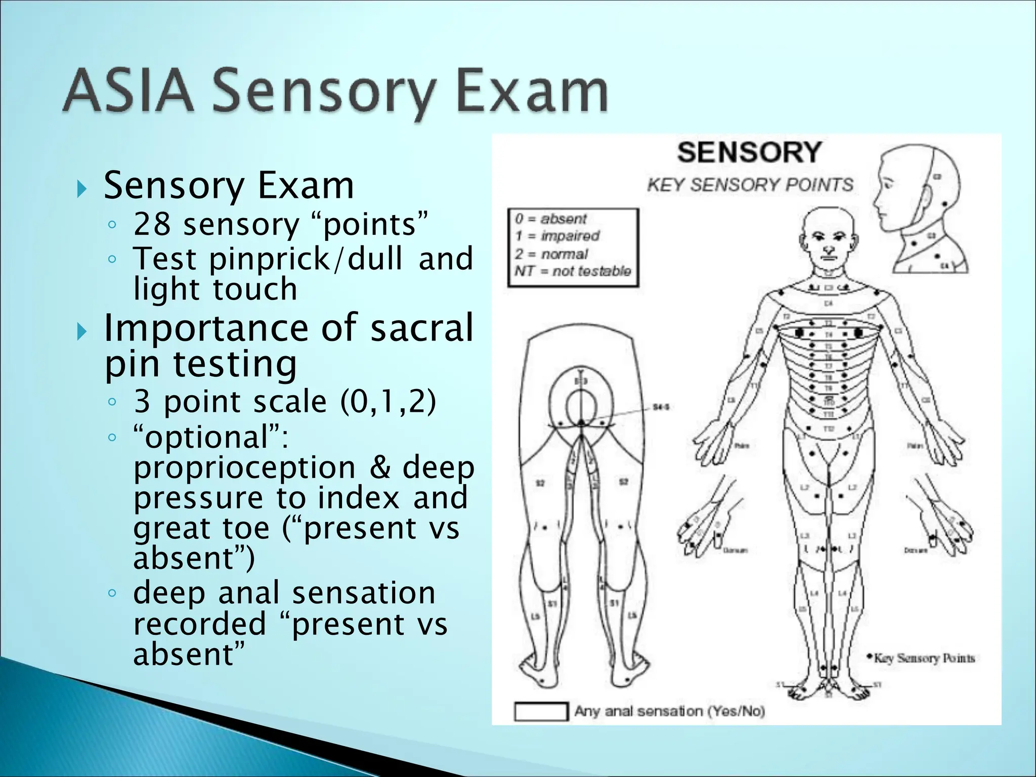 SCI (Spinal Cord Injury) (alternate).pdf