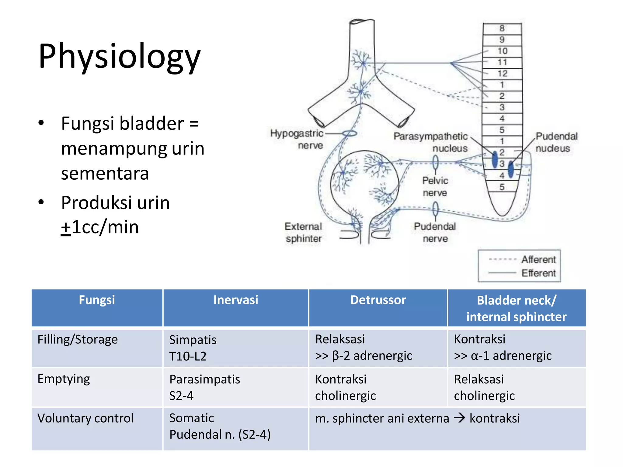 Sci Associated Conditions Neurogenic Bladder Bowel Sexual And Pptx