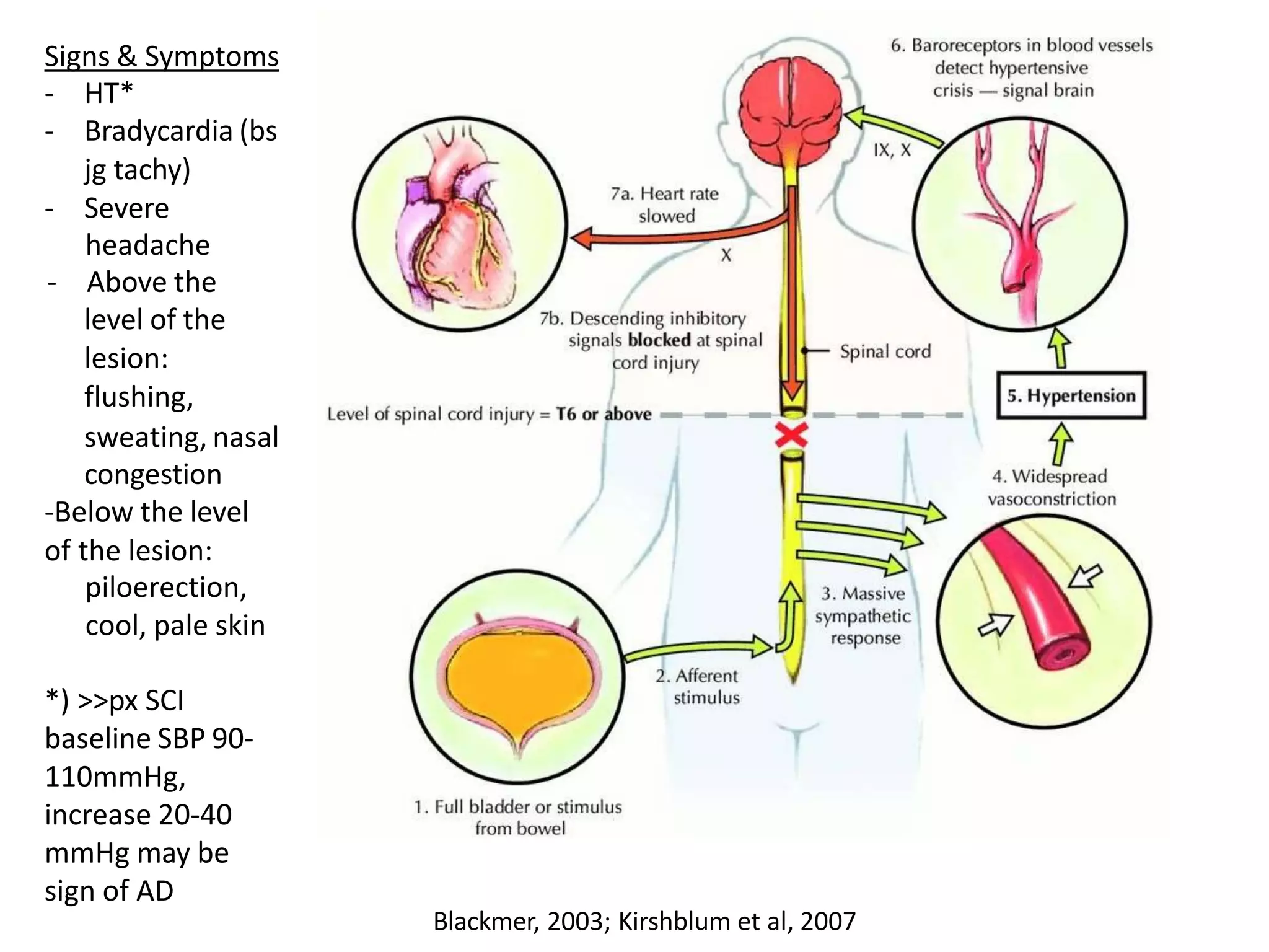 SCI_associated_conditions_Neurogenic_bladder_bowel_sexual_and.pptx