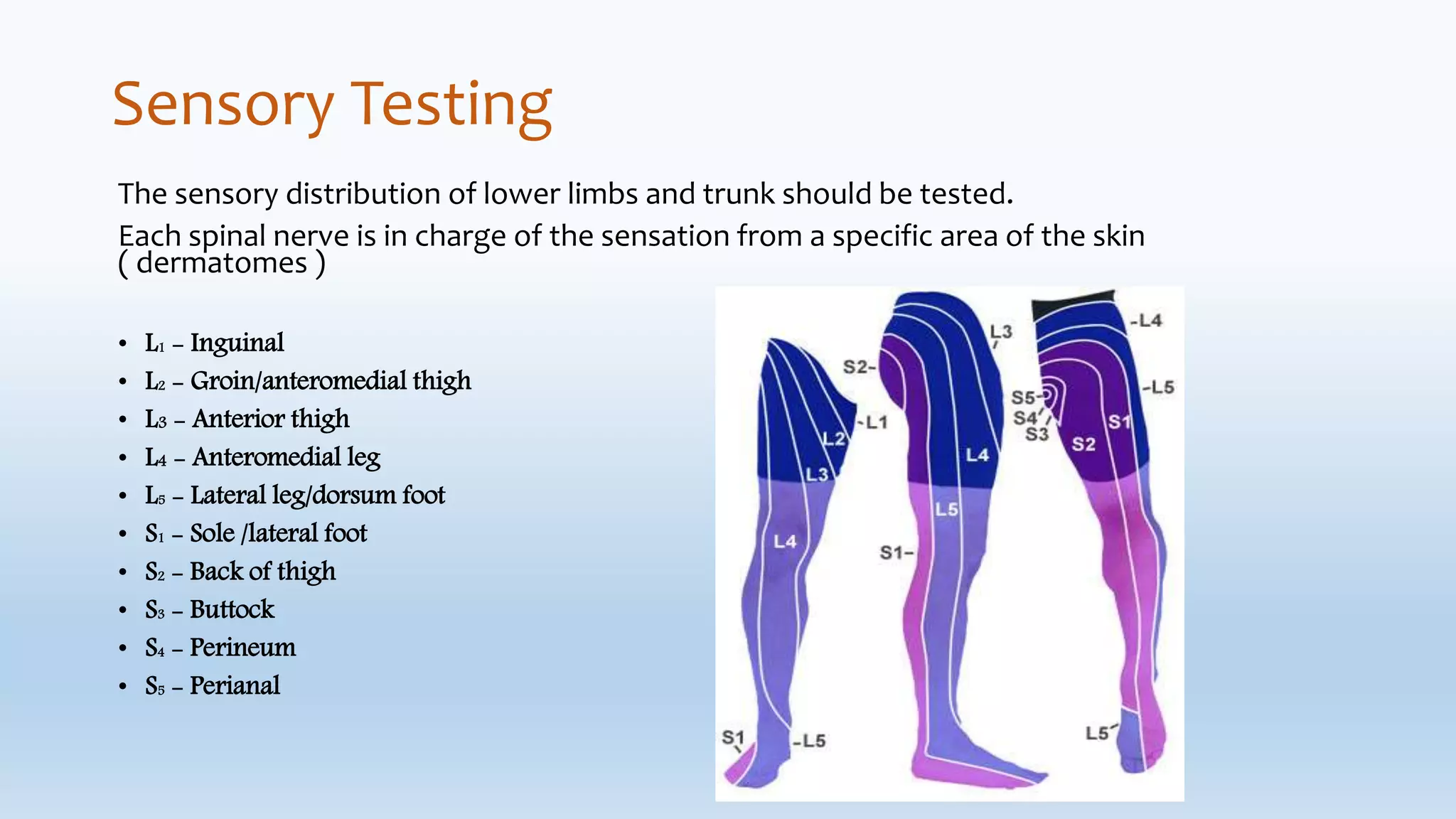 Sciatica | PPTX
