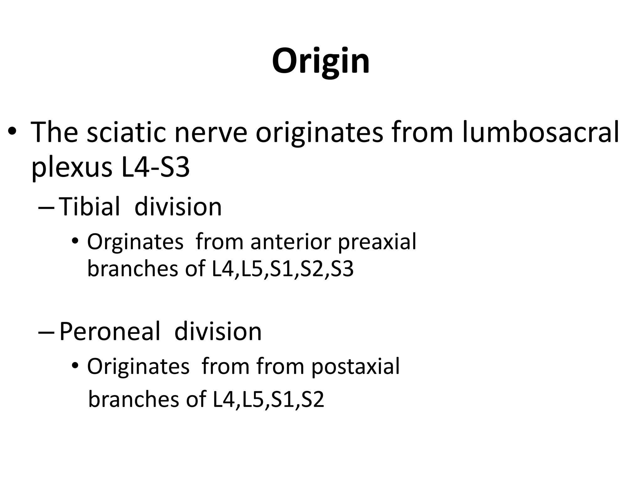 sciaticnerve-180502181117.pdf