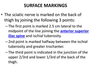 sciaticnerve-180502181117.pdf