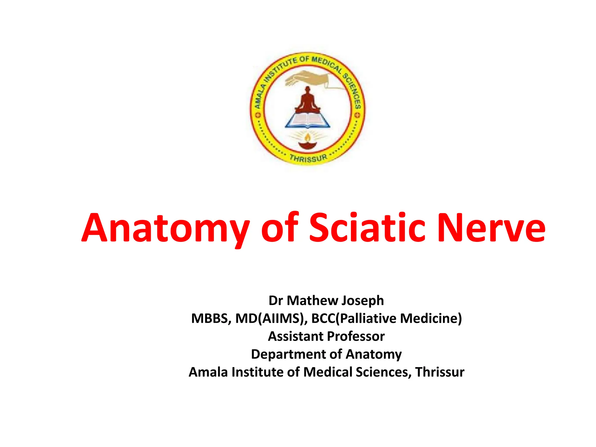 Sciatic Nerve Anatomy | PPTX