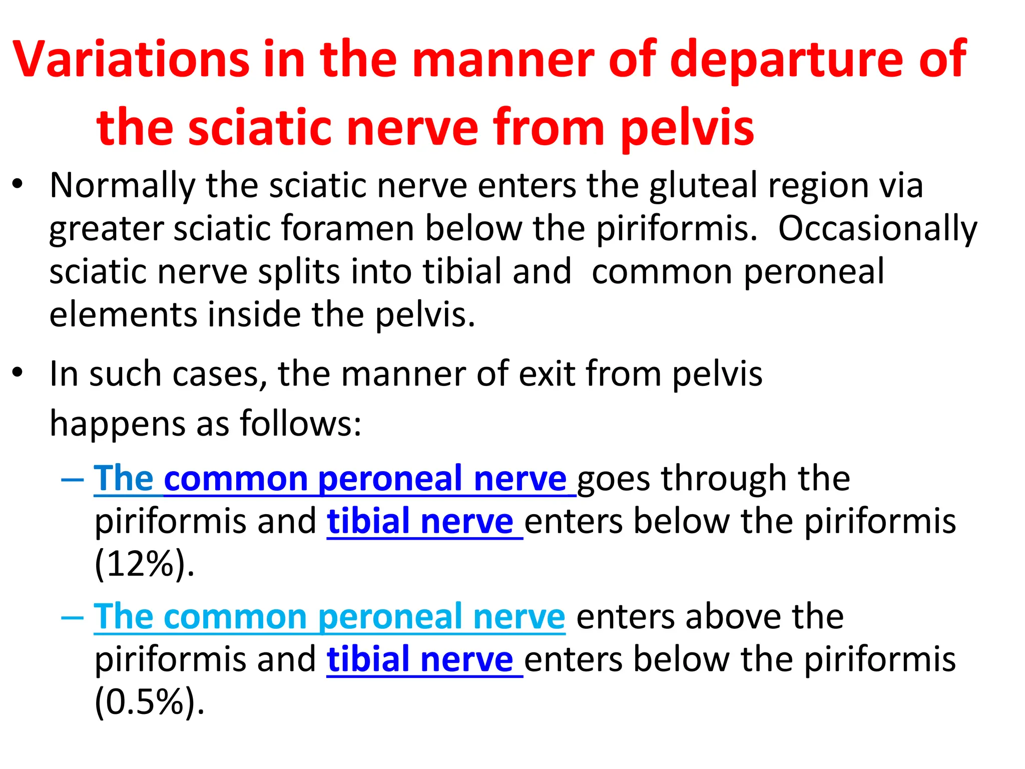 Sciatic Nerve Anatomy | PPTX