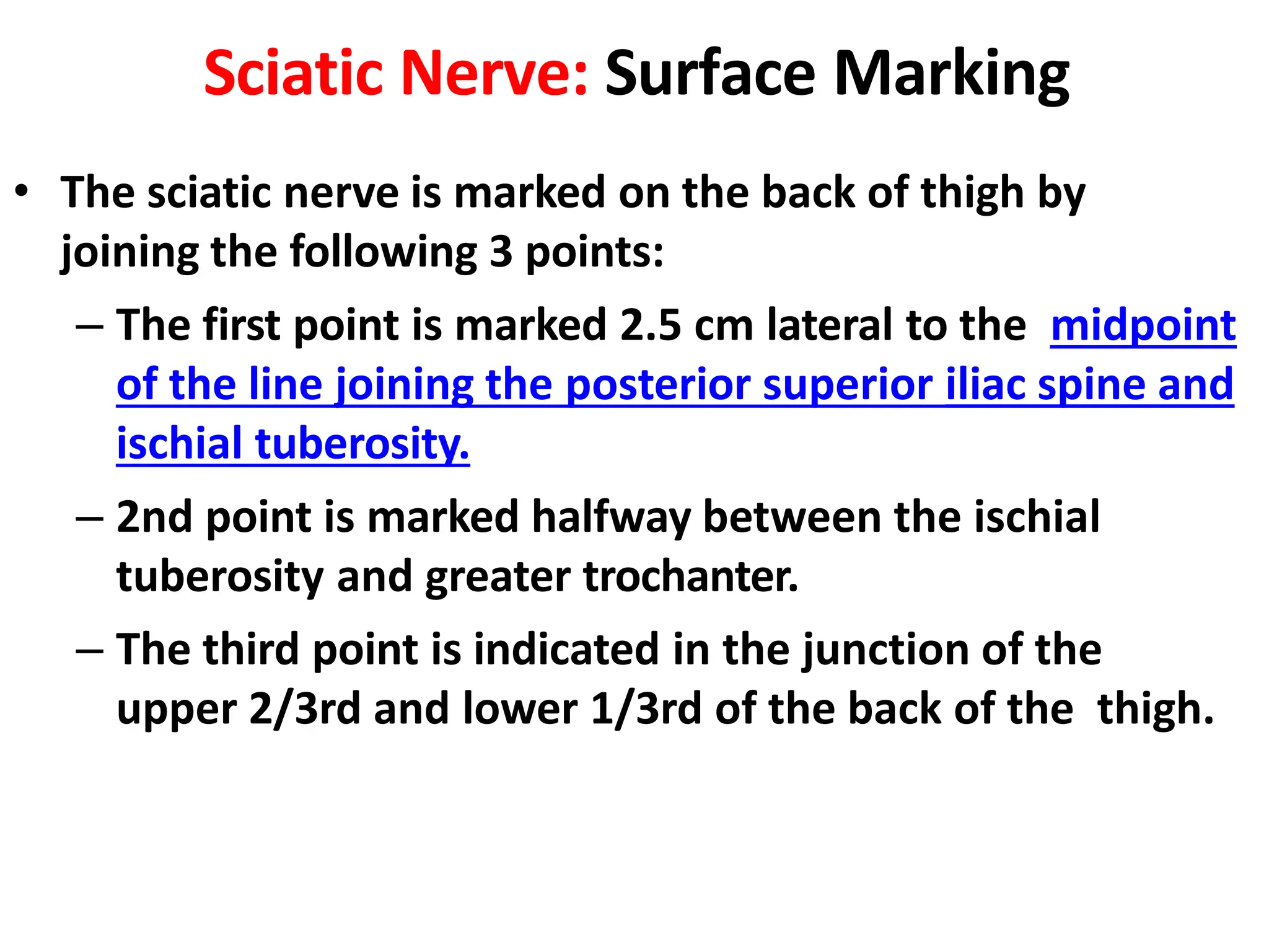 Sciatic Nerve Anatomy | PPTX