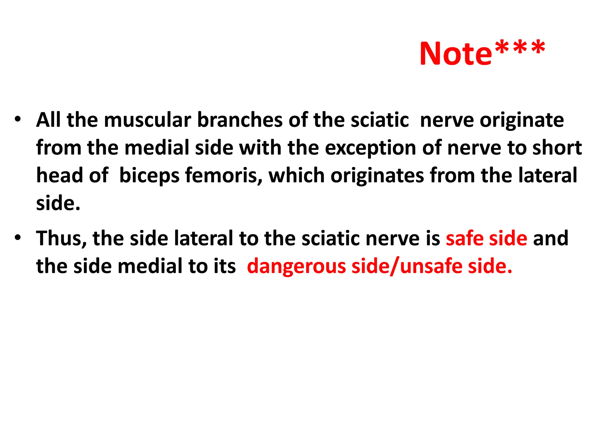 Sciatic Nerve Anatomy | PPTX