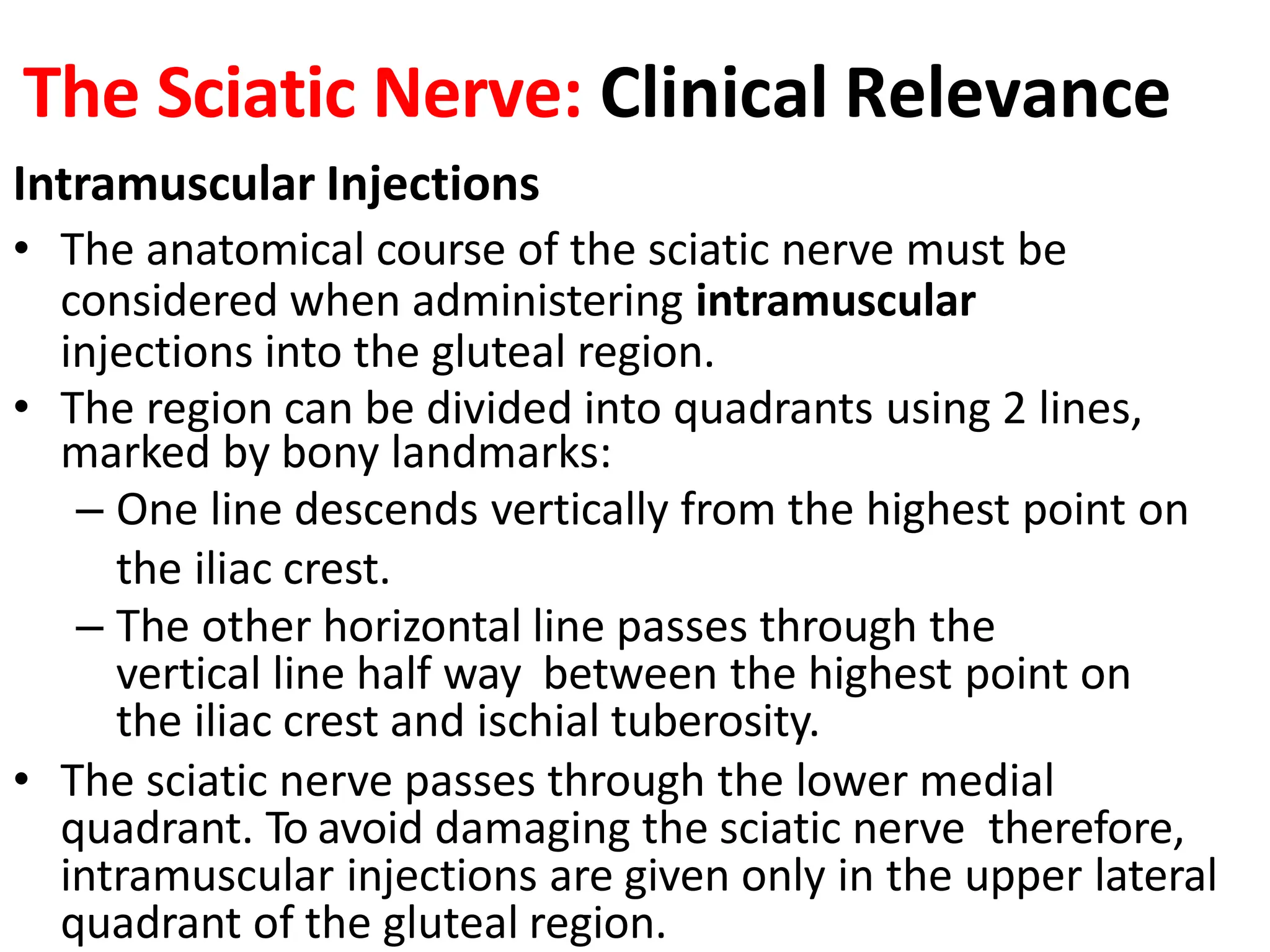 Sciatic Nerve Anatomy | PPTX