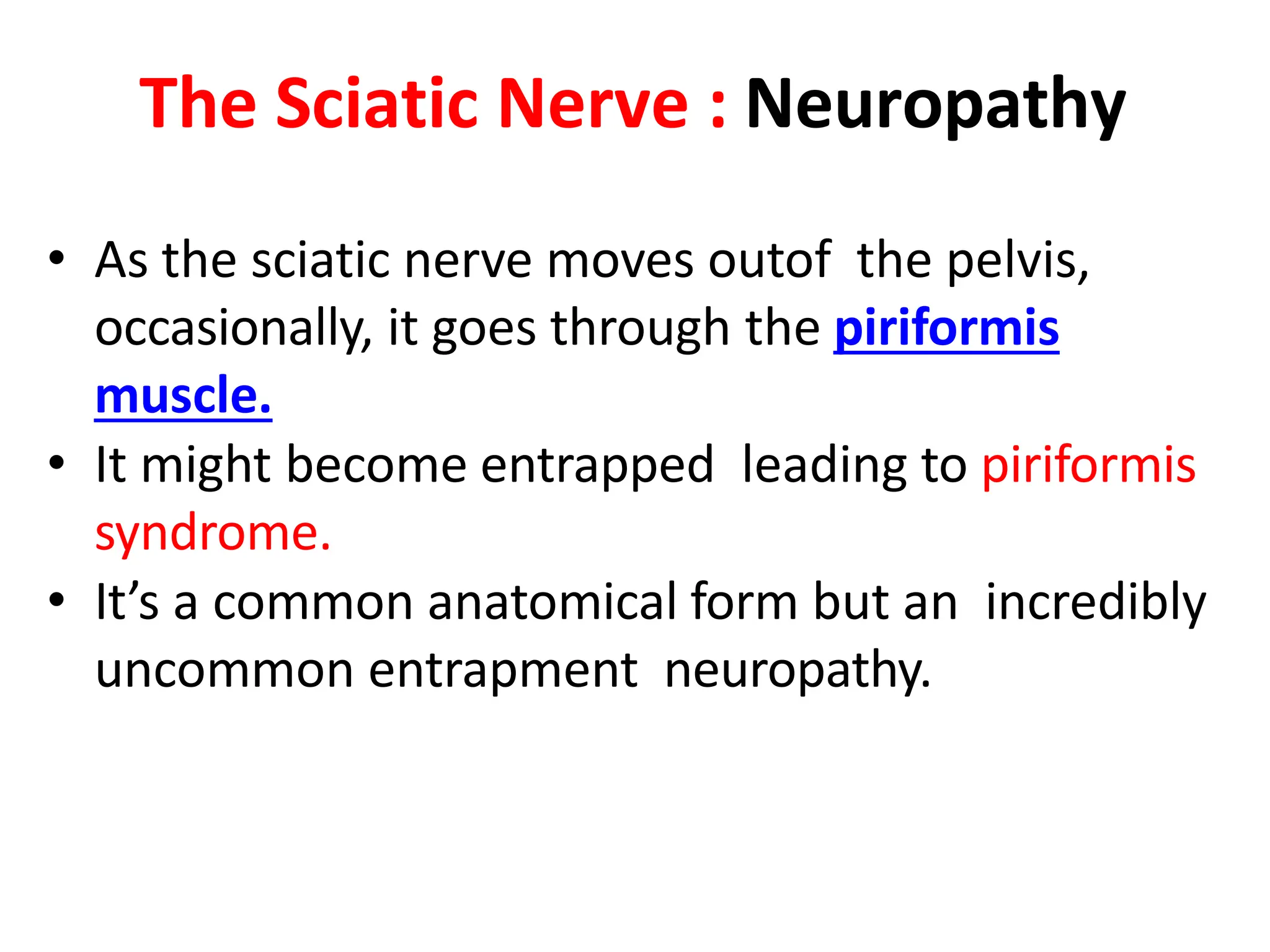 Sciatic Nerve Anatomy | PPTX