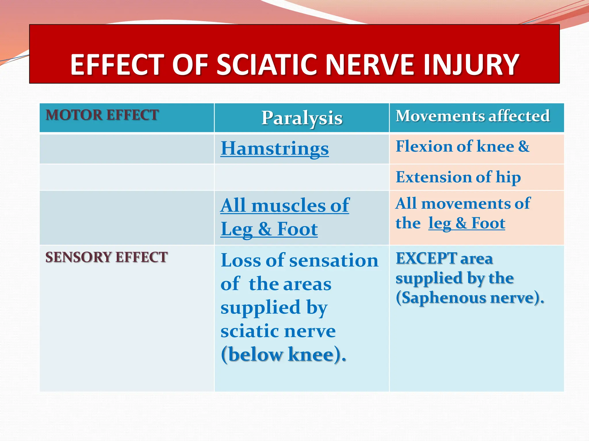 Sciatic Nerve.pdf Physiotherapy treatment | PPT