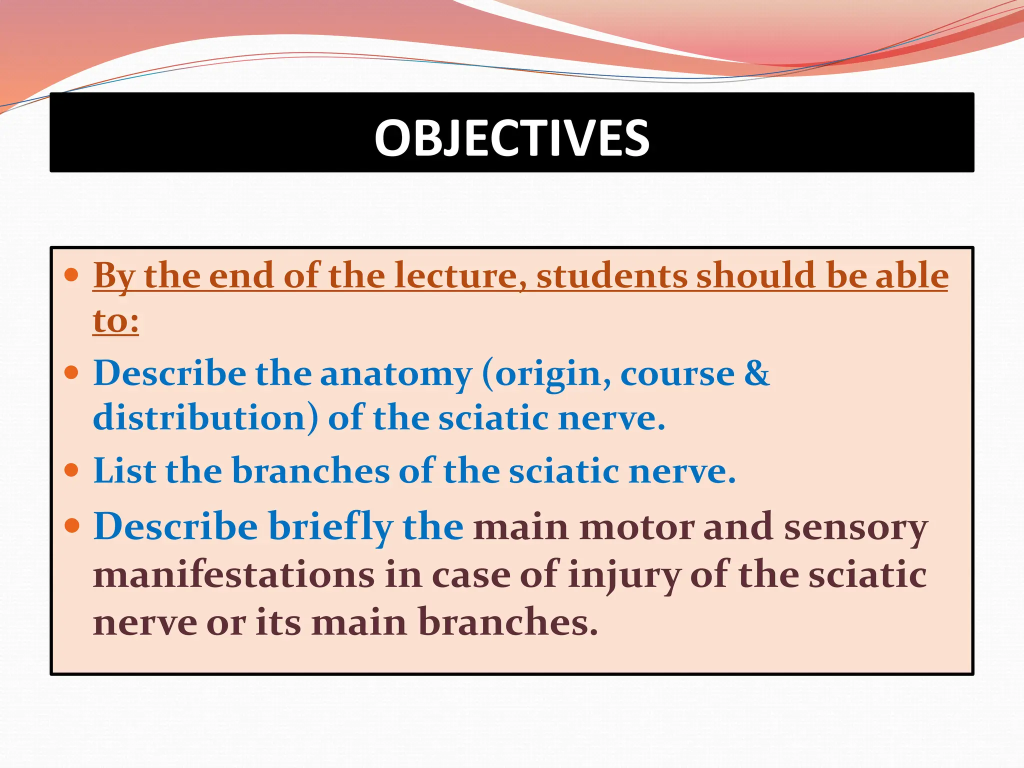 Sciatic Nerve.pdf Physiotherapy treatment | PPT