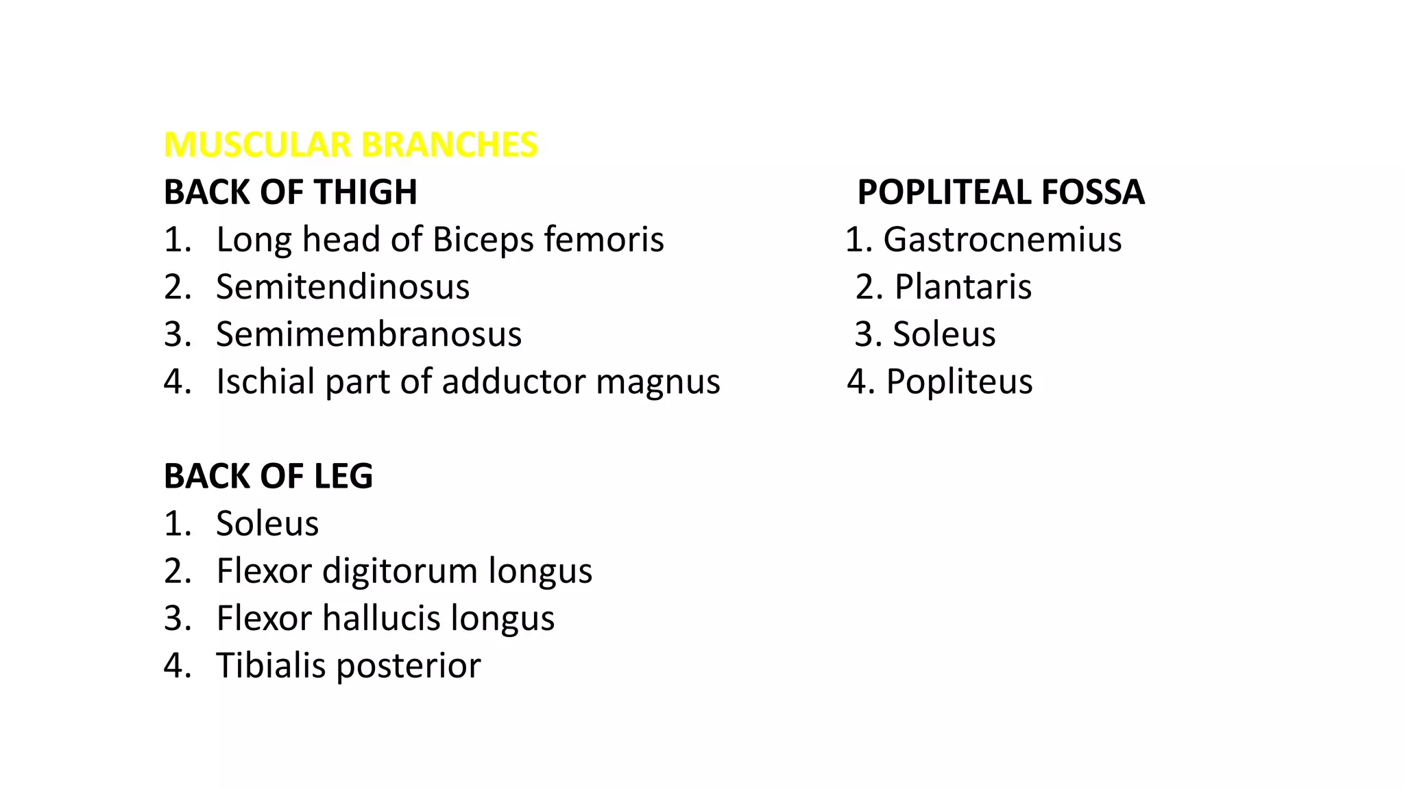 ANATOMY OF SCIATIC NERVE AND FOOT DROP | PPTX