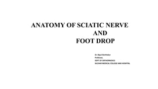 ANATOMY OF SCIATIC NERVE AND FOOT DROP | PPTX