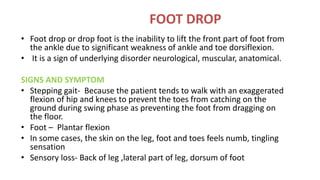 ANATOMY OF SCIATIC NERVE AND FOOT DROP | PPTX