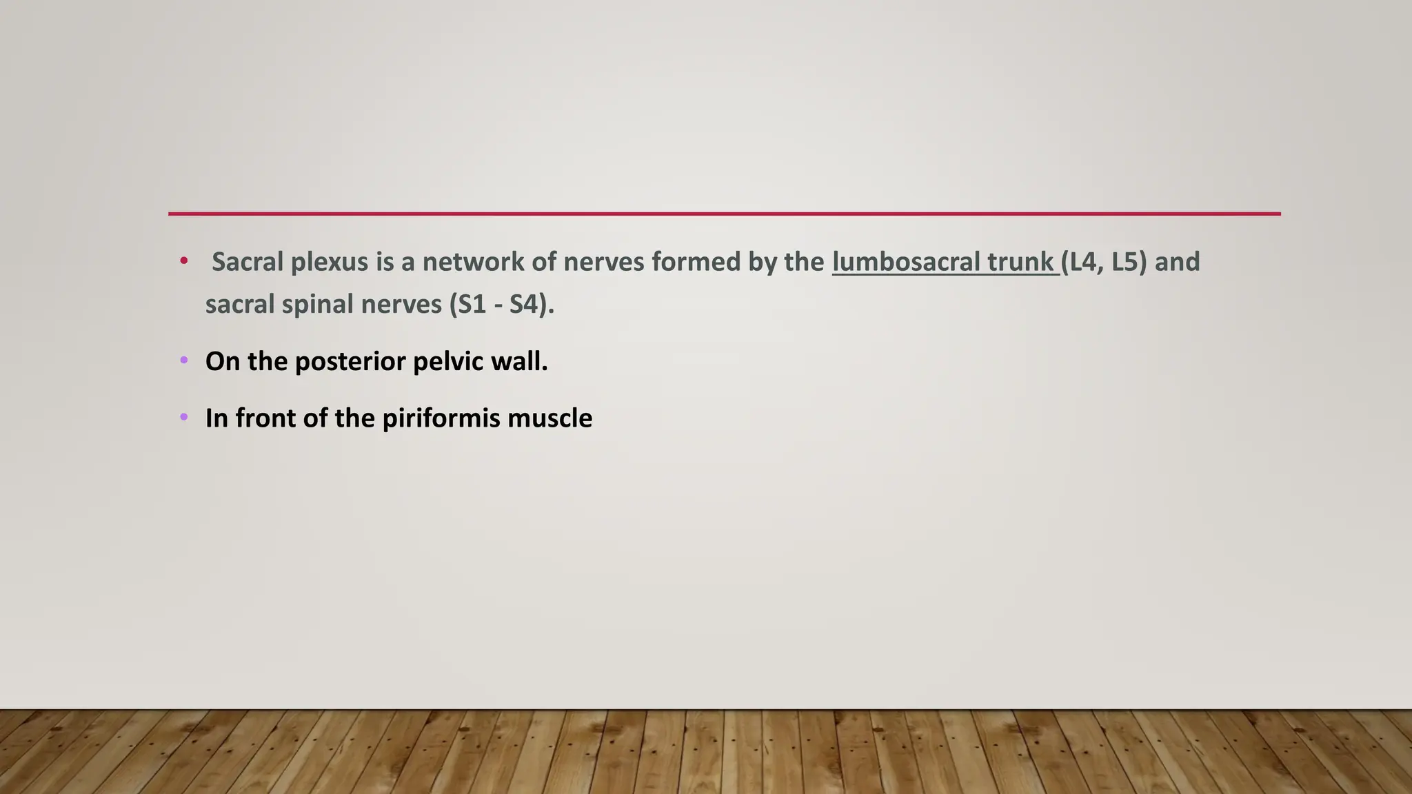 Sciatic Nerve PDF | PDF