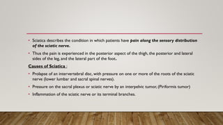 Sciatic Nerve PDF | PDF