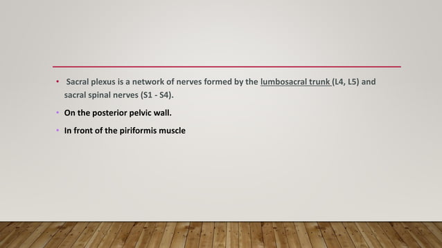 Sciatic Nerve PDF | PPT
