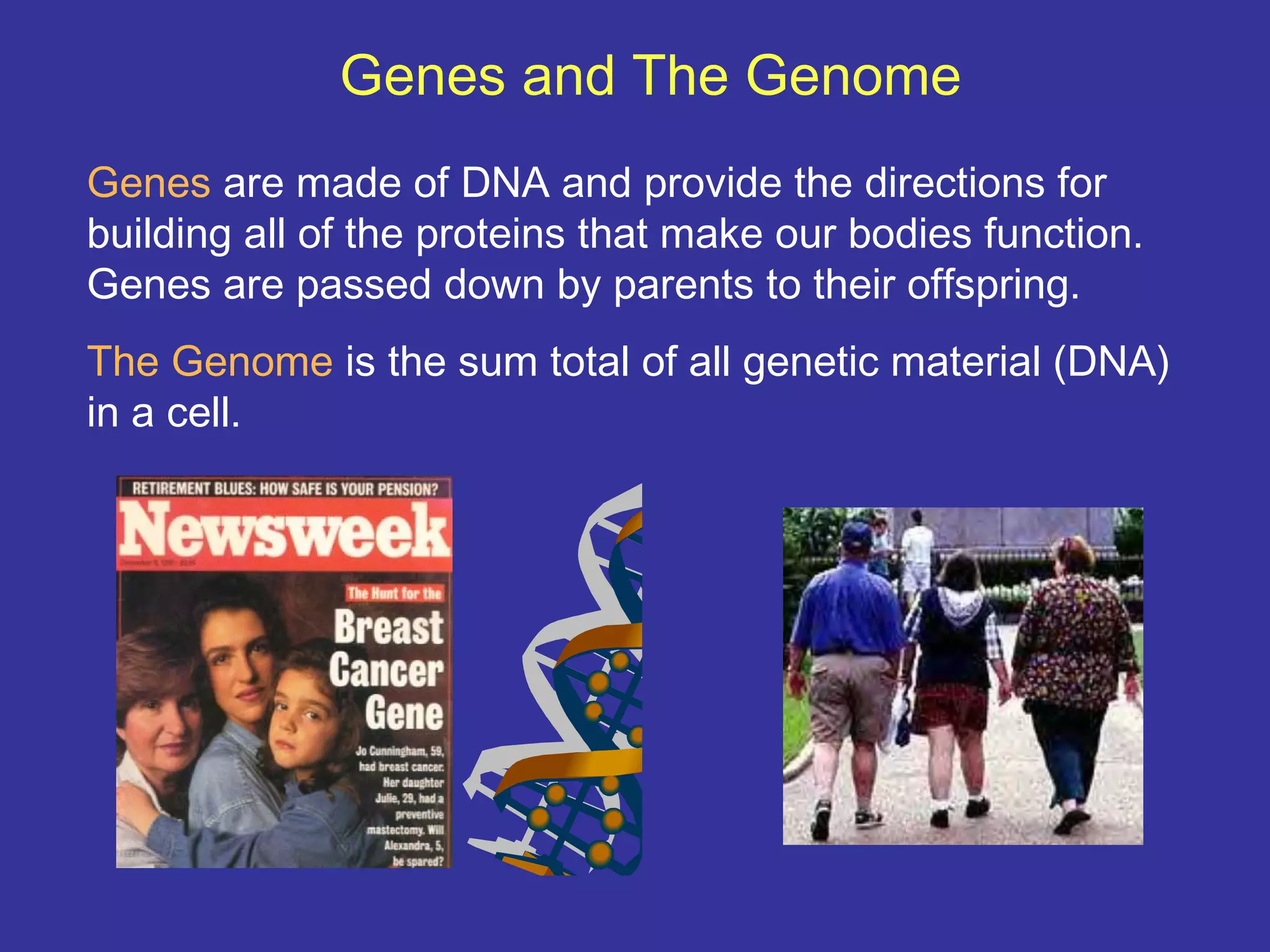 Sci cafe humangenome&health | PPT