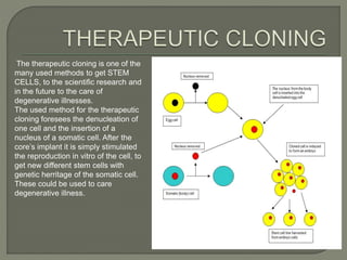 WHAT IS THERAPEUTIC CLONING?#SciChallenge2017 | PPTX