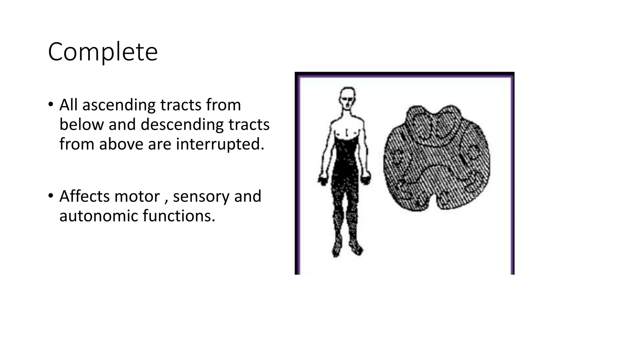 Sci classification | PPTX