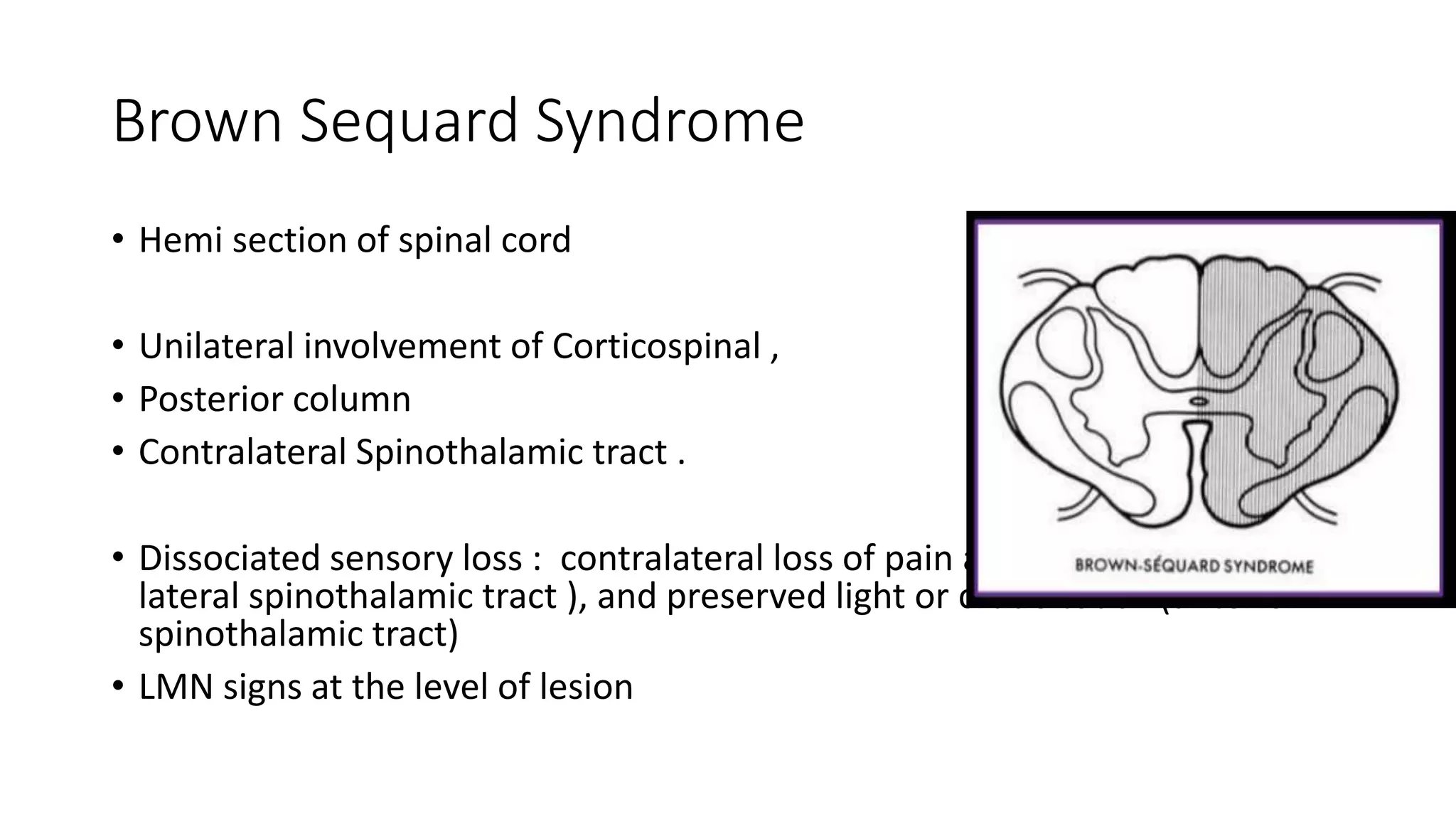 Sci classification | PPTX
