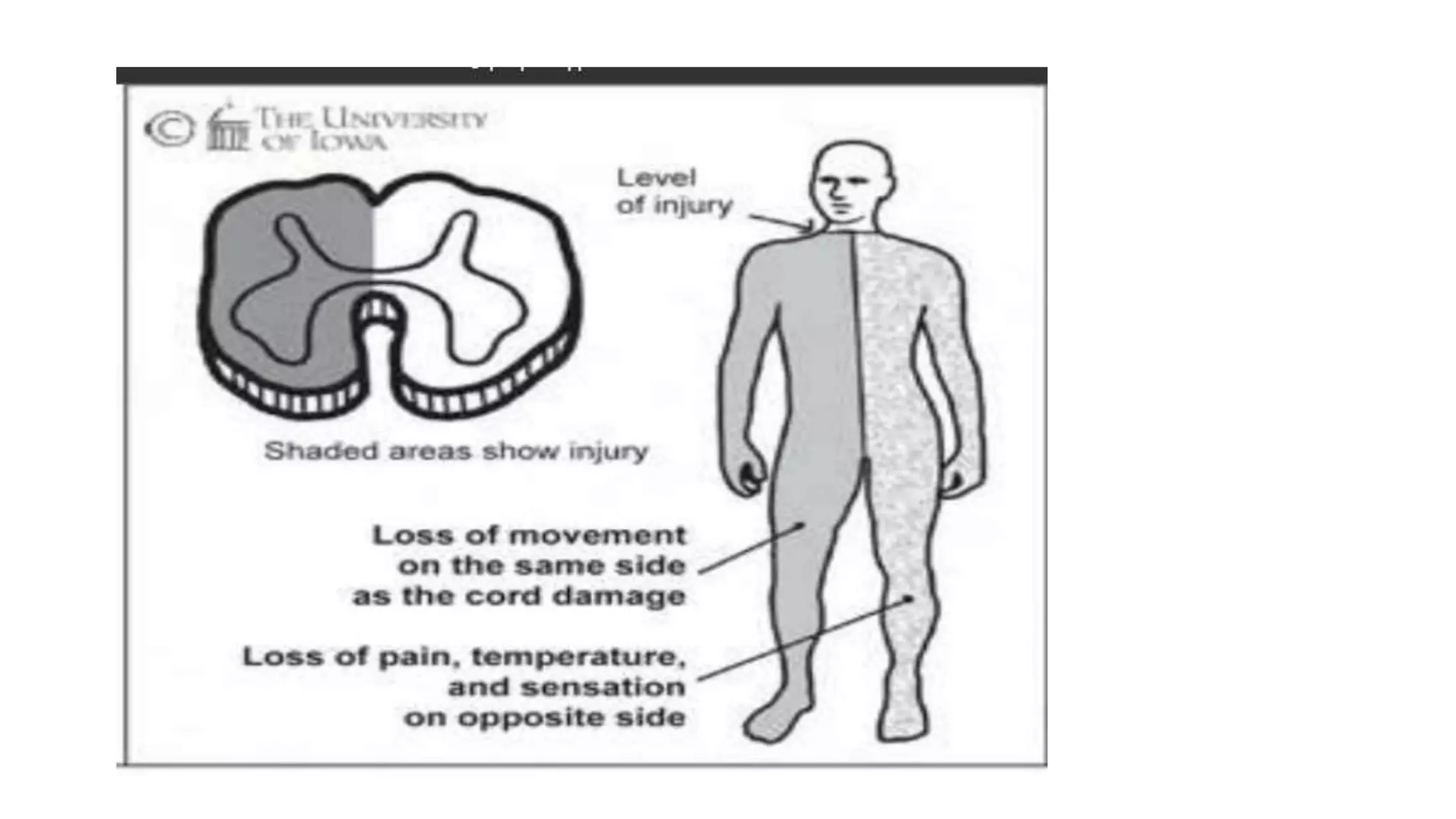 Sci classification | PPTX