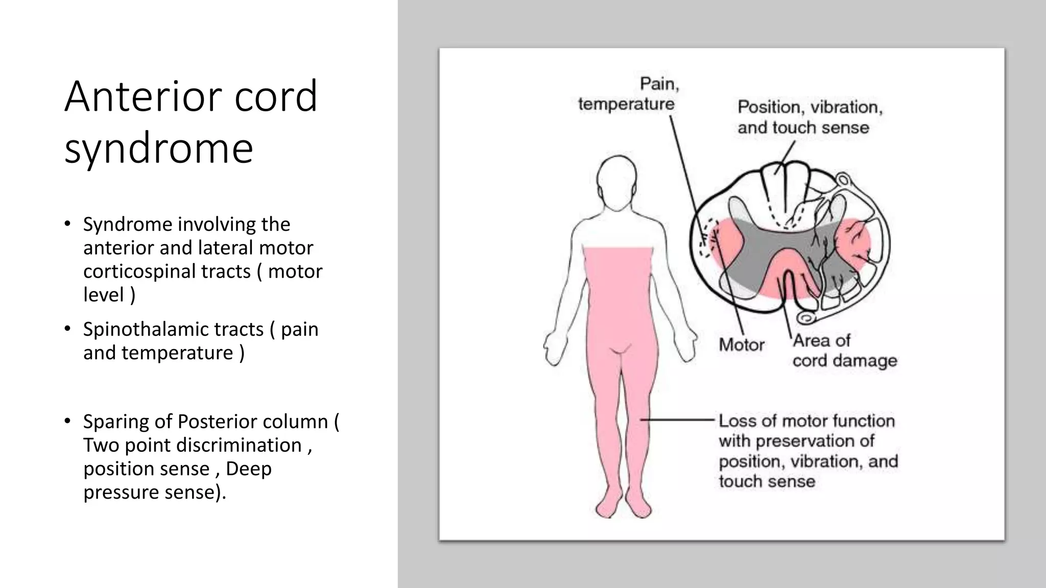 Sci classification | PPTX