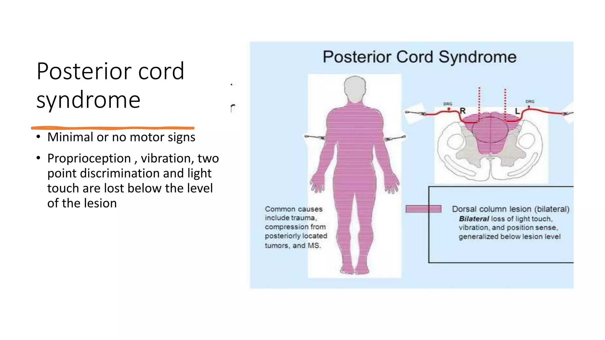 Sci classification | PPTX