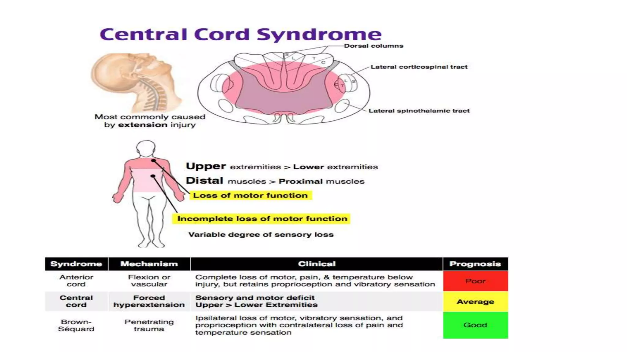 Sci classification | PPTX