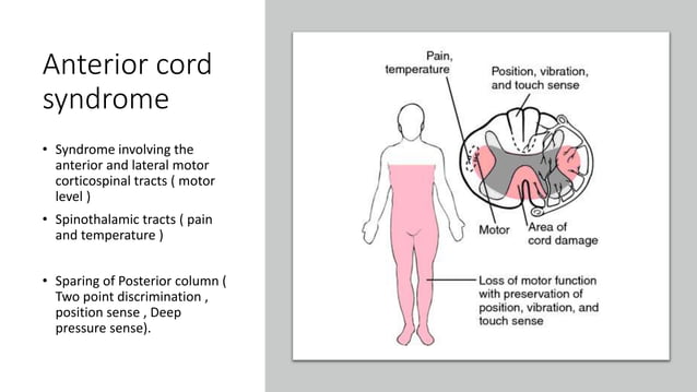 Sci classification | PPT