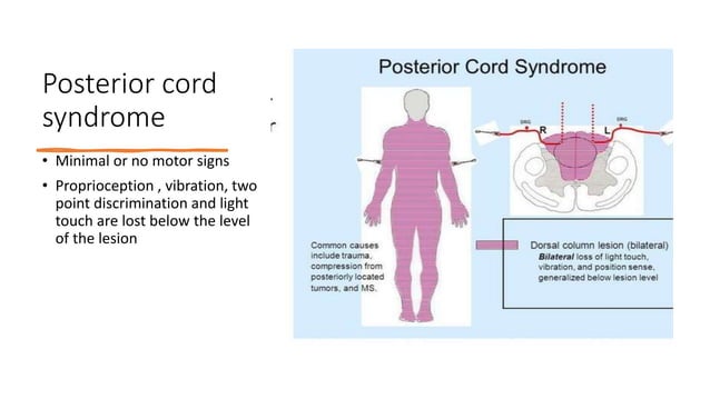 Sci classification | PPT