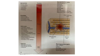 Sci classification | PPTX