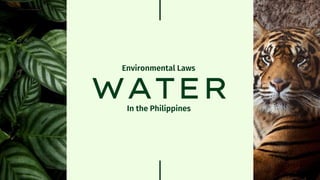 SCIED 703_Environmental Water Laws (DAVID).pptx